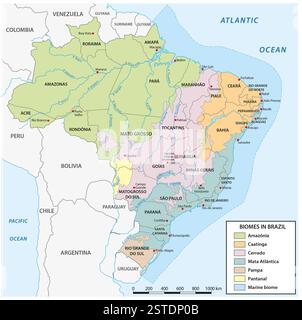 Caatinga Ecosystem Brazil Stock Photo - Alamy