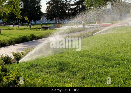 water sprinkler spraying water over grass Stock Photo - Alamy