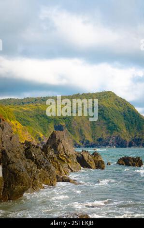Beautiful view of a Cabo de Rama beach in state Goa India Stock Photo ...
