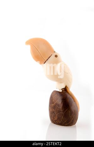 Vegetable ivory, tagua nuts (Phytelephas macrocarpa).processed seeds of ...