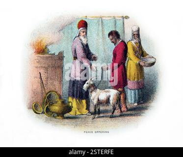 Israelite bringing a Peace Offering to the High Priest - Offering of ...