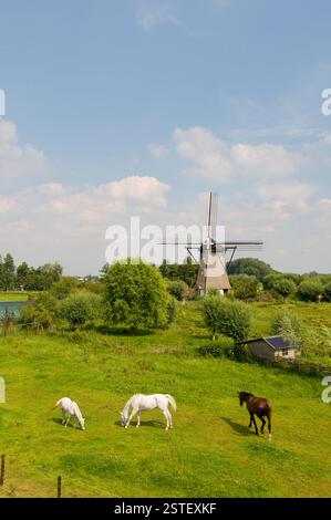 Windmill the Hoop Stock Photo - Alamy
