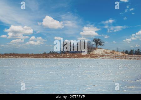 View of a snowy meadow with tress covered with snow against a mountains ...