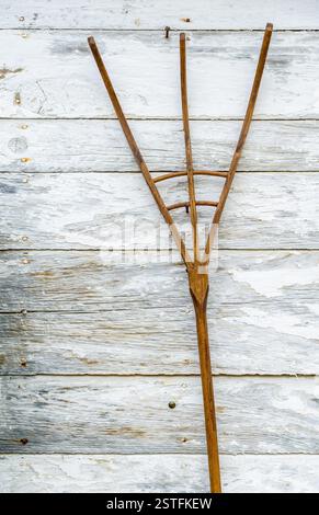 pitchfork on a wooden background. Old garden tools Stock Photo - Alamy