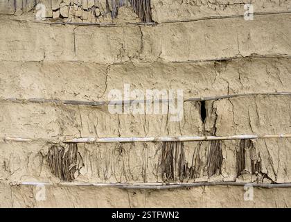 Mud, bamboo and straw wall texture Stock Photo - Alamy