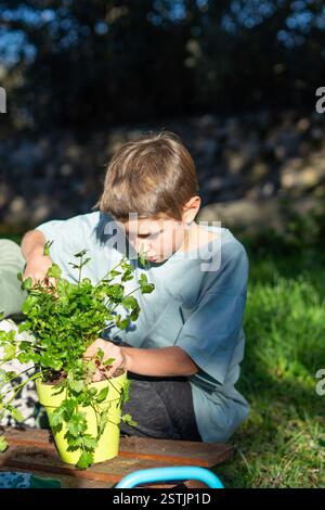 A fresh plant in a pot with bright green leaves placed on the table in ...
