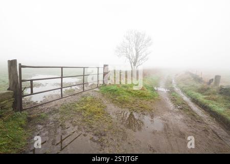 Thick fog on a country lane Stock Photo - Alamy