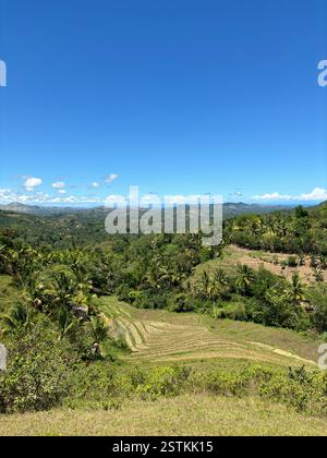 Lush Cadapdapan Rice Terraces in Bohol, Philippines – A Green Paradise ...