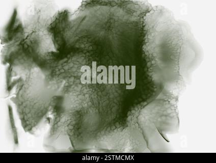 Green hand drawn watercolor circular frame background texture with ...