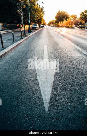 Arrow signs as road markings on a street Stock Photo - Alamy