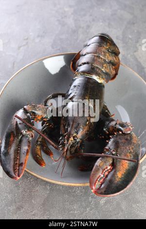 One raw lobster on grey table, top view Stock Photo - Alamy