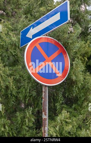 traffic sign, no parking, overgrown, road sign, road signs, traffic ...