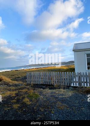 Scenic coastal landscape featuring windswept pine trees, a rocky ...
