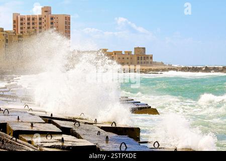Buildings and breakwater at Mediterranean coast of Alexandria Stock ...