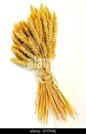 Bundle of wheat Stock Photo - Alamy