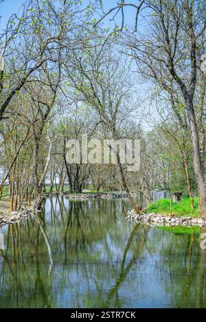 Landscape, Dendrological Park of the National Reserve Askania Nova in ...