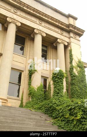 Jones Memorial Library, Lynchburg, Va. , Public libraries, Tichnor ...