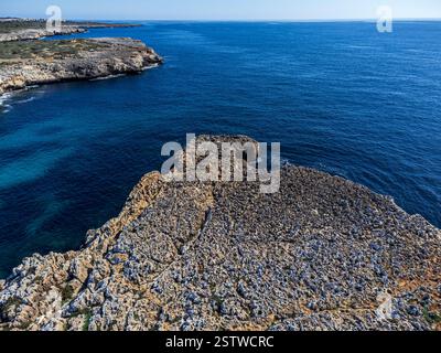 Bronze Age archaeological site, sa Ferradura, pre-Talaiotic period ...