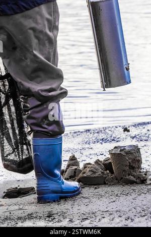 Razor Clam Harvesting using Razor Clam Gun, Copalis Beach, Washington ...