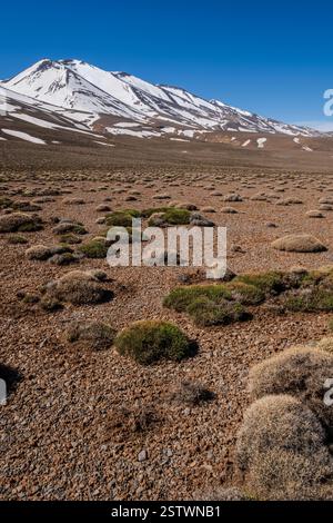 Plateau de Tarkeddit and Ighil M'Goun range, 4,071 meters, Atlas ...