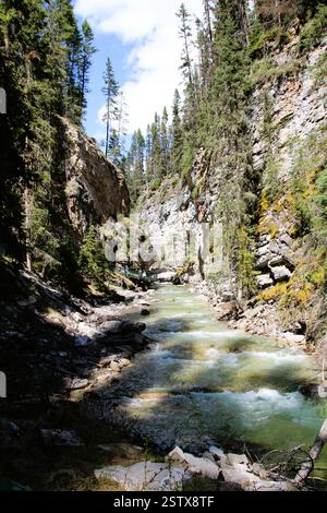 This image depicts a river winding through a lush valley, surrounded by ...