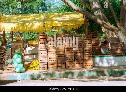 fruit stand in Park in Merida city, Merida, Yucatan, Mexico 1985 ...