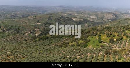 Natural Route Greenway of Oil Stock Photo - Alamy