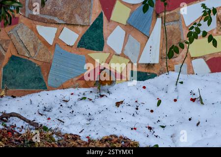 (Erithacus rubecula), also called the red robin, seeks out the fruits ...