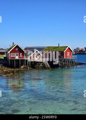 Red Cabins on Stilts in Norways Coastal Village, Reine, Lofoten, Norway ...