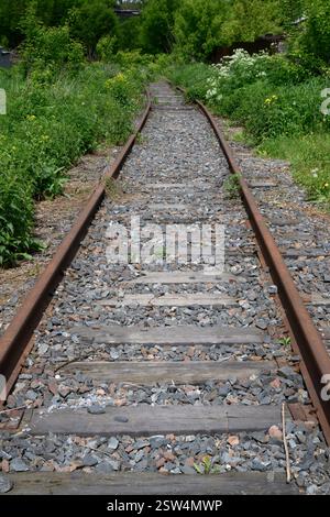 Old rusty rails, sleepers and flowers, horizontal Stock Photo - Alamy