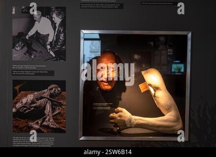 An exhibit on Tollund Man, an Iron Age bog body preserved at the ...
