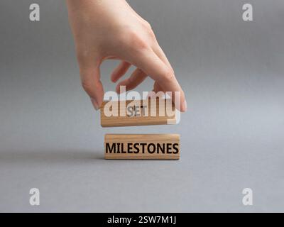 Set milestones symbol. Concept word Set milestones on wooden blocks ...