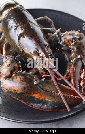 Raw lobster on grey textured table, closeup Stock Photo - Alamy