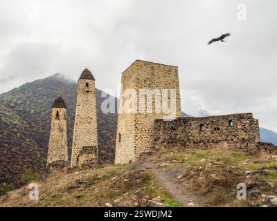 Ancient battle towers Erzi in the Jeyrah gorge. Medieval tower complex ...