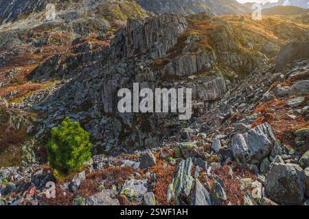 Scattering of Stones Stock Photo - Alamy
