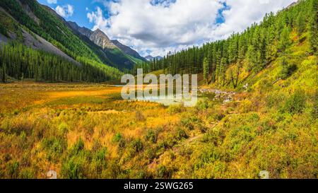 Sunny autumn swamp. Swampy backwater of mountain lake. Bright ...
