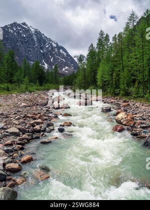 Beautiful atmospheric mountain landscape stormy river, autumn trees ...