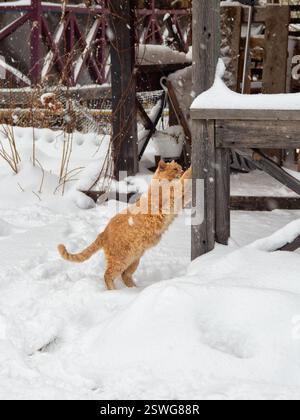 Big fluffy white snowflake Christmas decor on a gray background. The ...