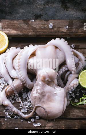 Octopus on ice Stock Photo - Alamy