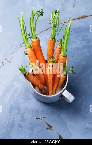 Bundle of carrots Stock Photo - Alamy
