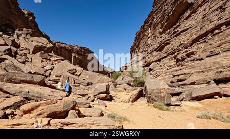 The Rocks and Gorge of the Sahara Desert in Algeria Stock Photo - Alamy