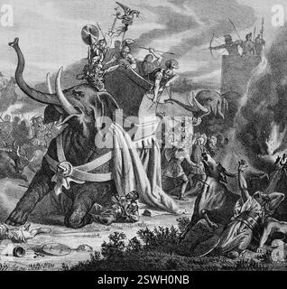 War elephant illustration, army of Carthage. Isolated black white ...