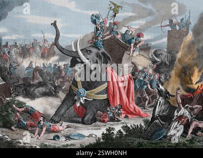 War elephant illustration, army of Carthage. Isolated black white ...