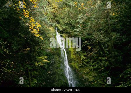 Madison Falls at Olympic National Park Stock Photo - Alamy
