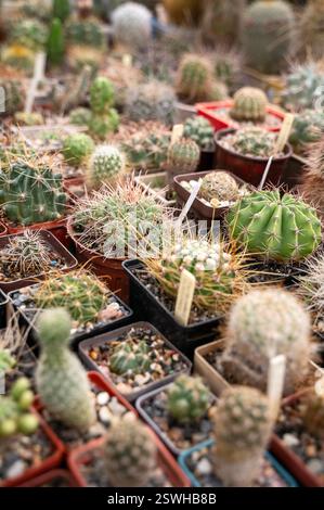A collection of clay pots in various shapes, sizes, and colors are ...