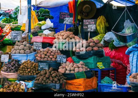 A vibrant Peruvian market displaying diverse potato varieties with ...