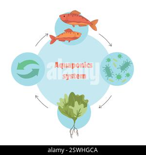 How the Aquaponics system work. Aquaponics system in smart farming ...