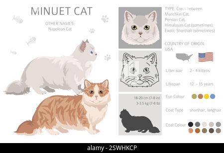 Minuet Cat clipart. Munchkin and Persian mix cross. Napoleon Cat. All ...