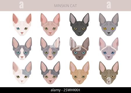 Devon Rex Cat clipart. All coat colors set. All cat breeds ...