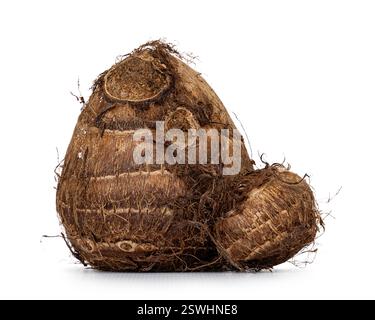 Fresh Unpeeled Taro Root Vegetable On Wooden Table Close Up With ...